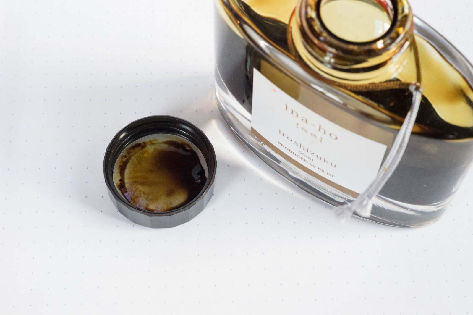 One Minute Ink Review: Pilot Iroshizuku Ina-ho – Fountain Pen Follies